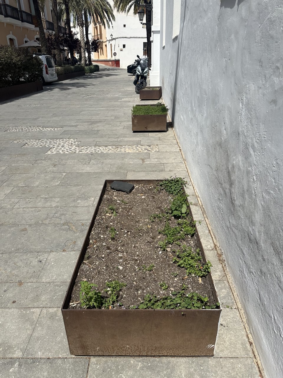 El PSOE critica la deixadesa de Triguero cap a les zones enjardinades de Dalt Vila durant la ...